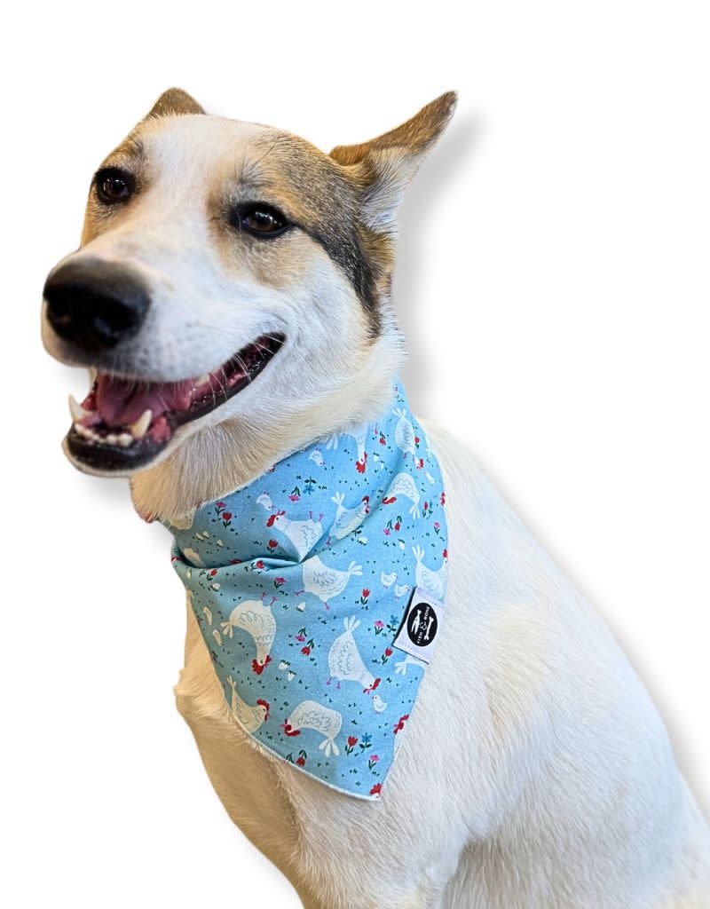 FISH & BONE Bandana Chickens - The Fish & Bone