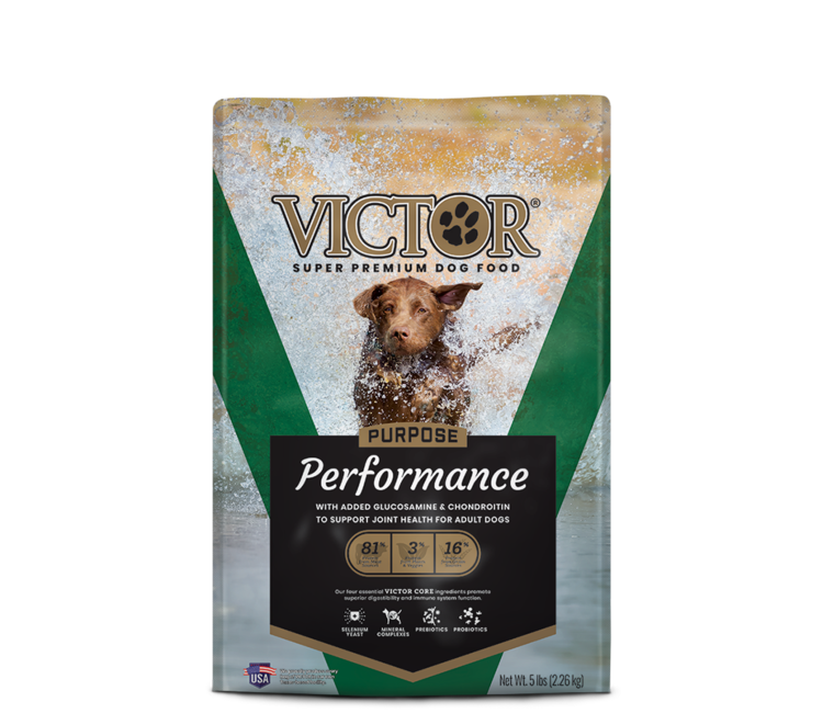Victor Dog Food Puppy | ppgbbe.intranet.biologia.ufrj.br