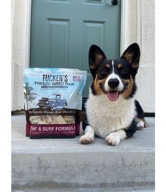 Tucker's Freeze-Dried Turf & Surf Pumpkin 14 oz - The PawStand®