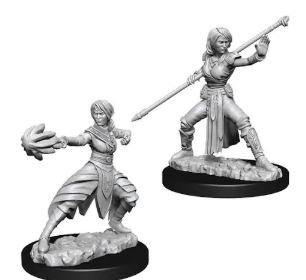 Nolzur's Marvelous Miniatures Female Half-Elf Monk - Game Cafe