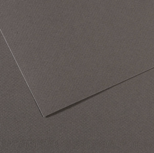 Canson Mi-Teintes Paper Sheets, 8-1/2'' x 11'', Graphite - MICA Store