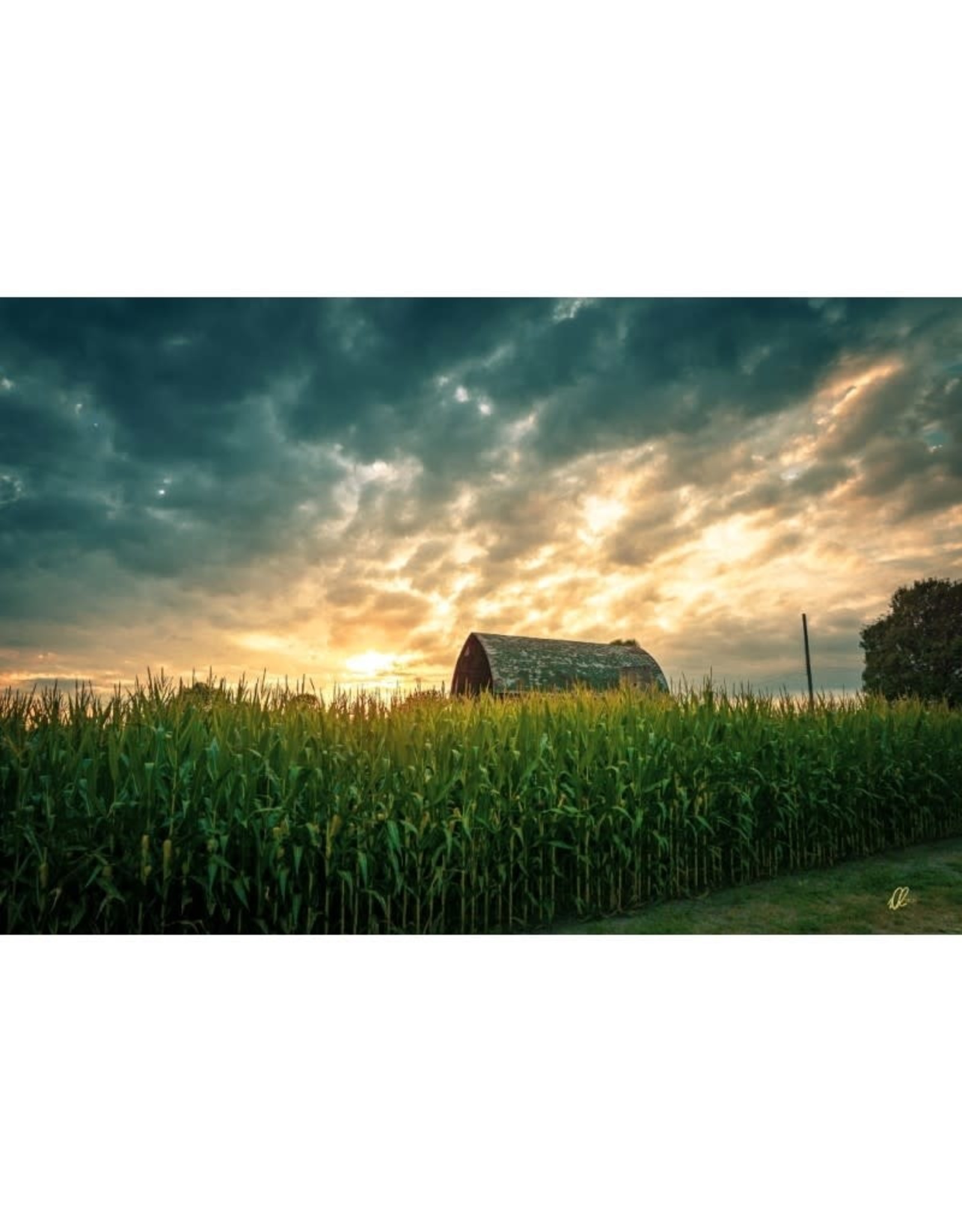 Barn Burner - The Bear Den Gallery