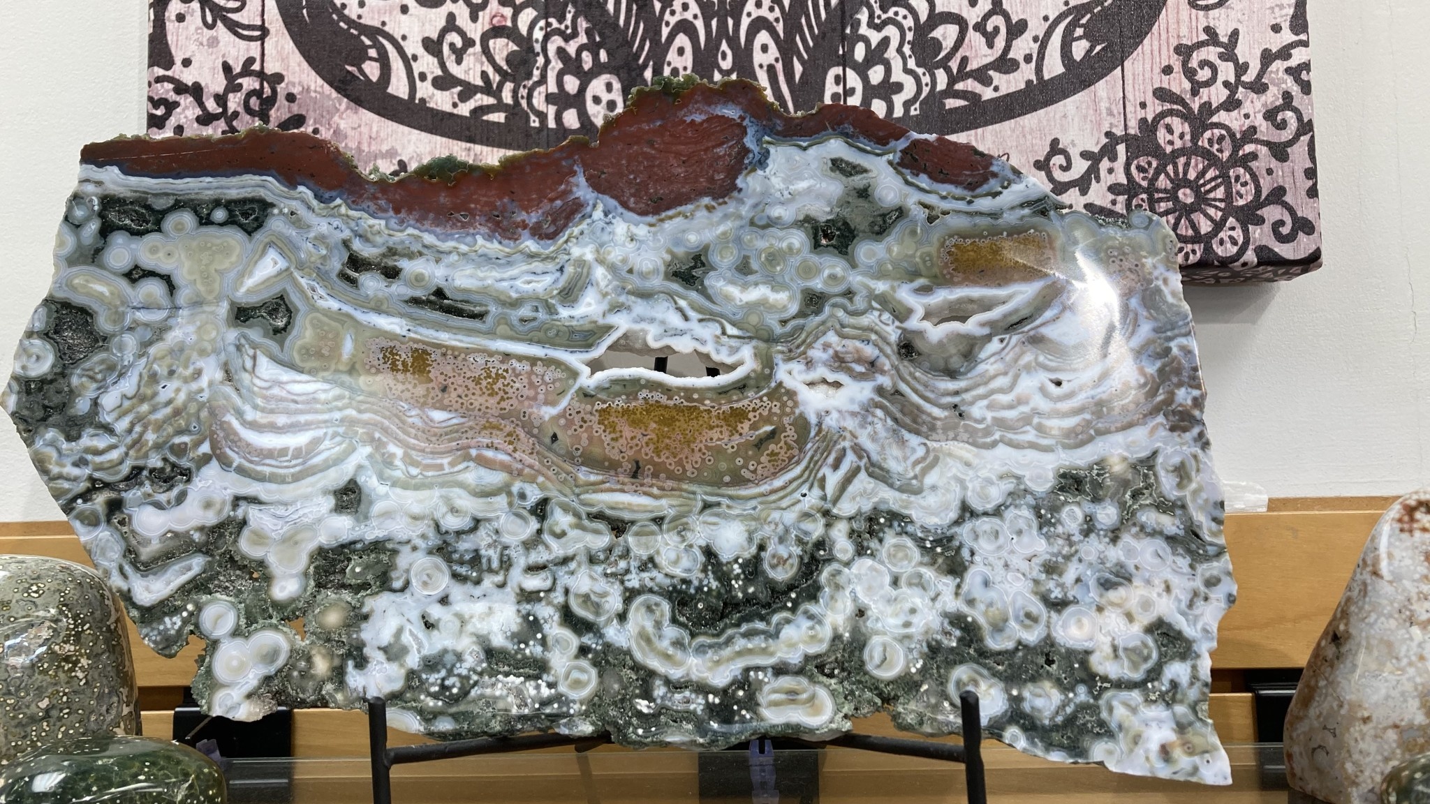 Ocean Jasper Slab - Elysian Fields