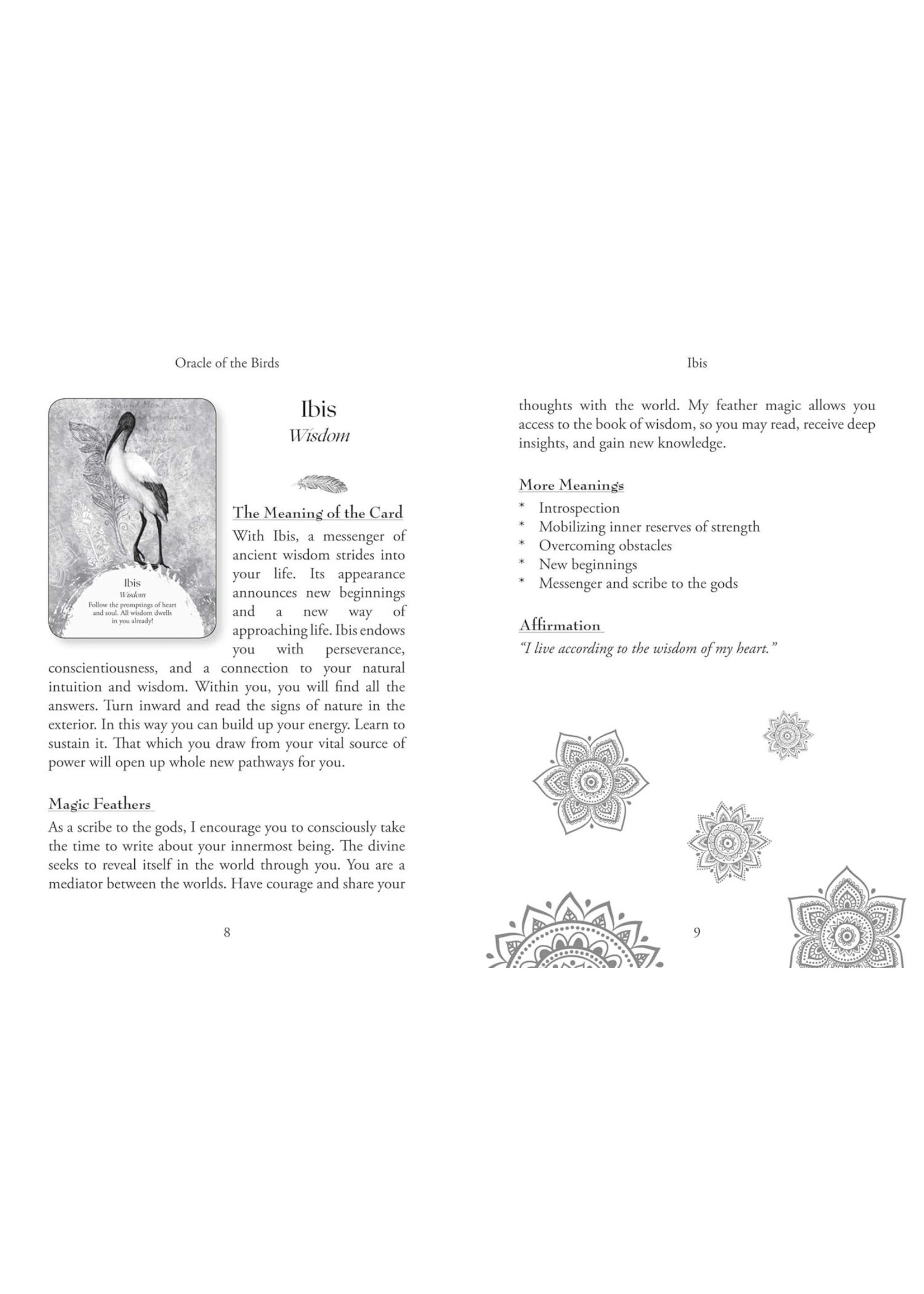 Deck Oracle Of The Birds With Guidebook Elysian Fields