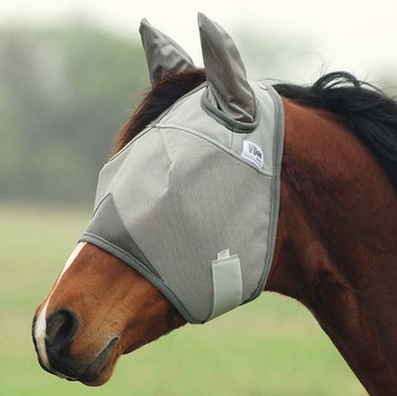 CRUSADER FLY MASK STANDARD WITH EARS - Equine Essentials Tack & Laundry ...