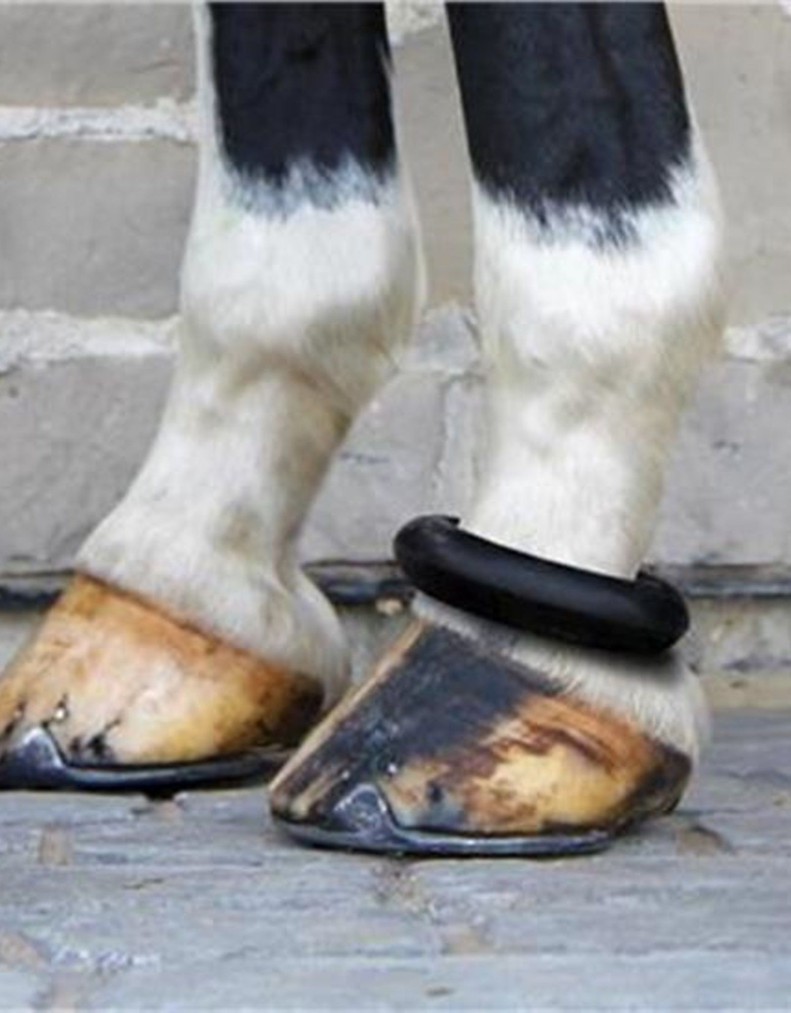 FETLOCK RING - Equine Essentials Tack & Laundry Services