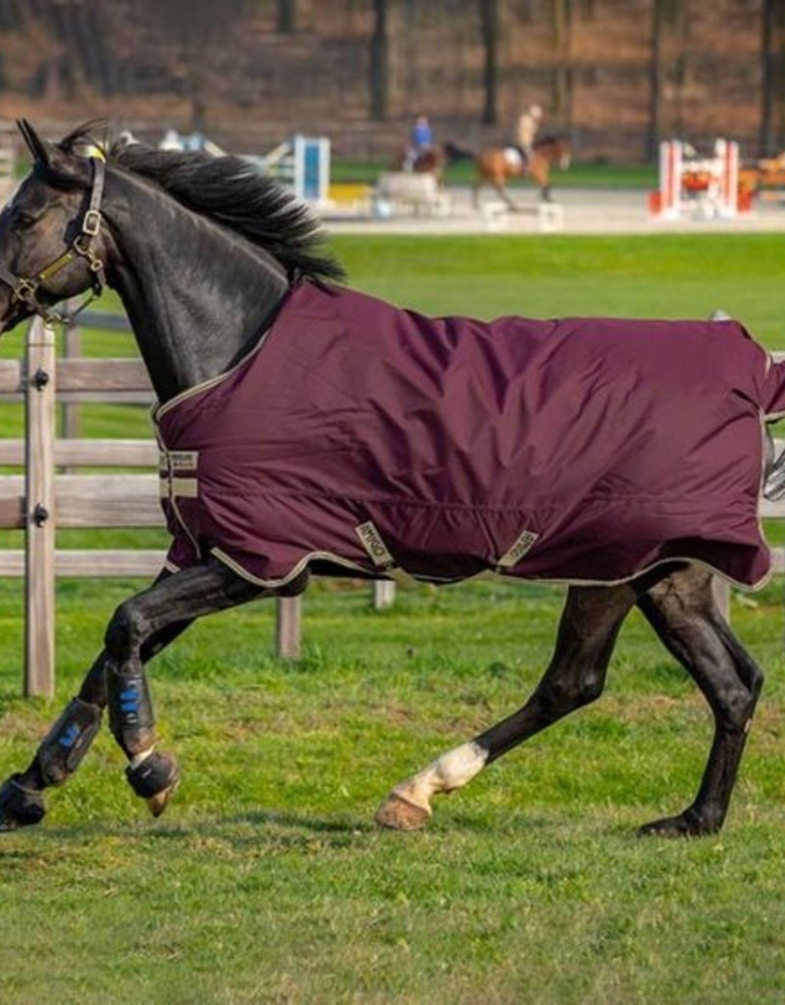 AMIGO HERO RIPSTOP 100G - Equine Essentials Tack & Laundry Services