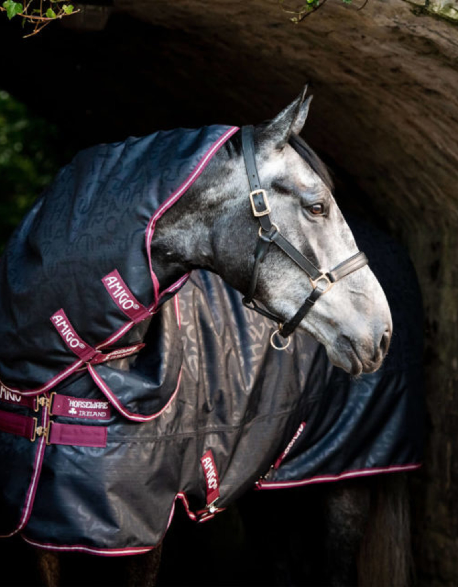 AMIGO HERO RIPSTOP PLUS LITE 0G - Equine Essentials Tack & Laundry Services