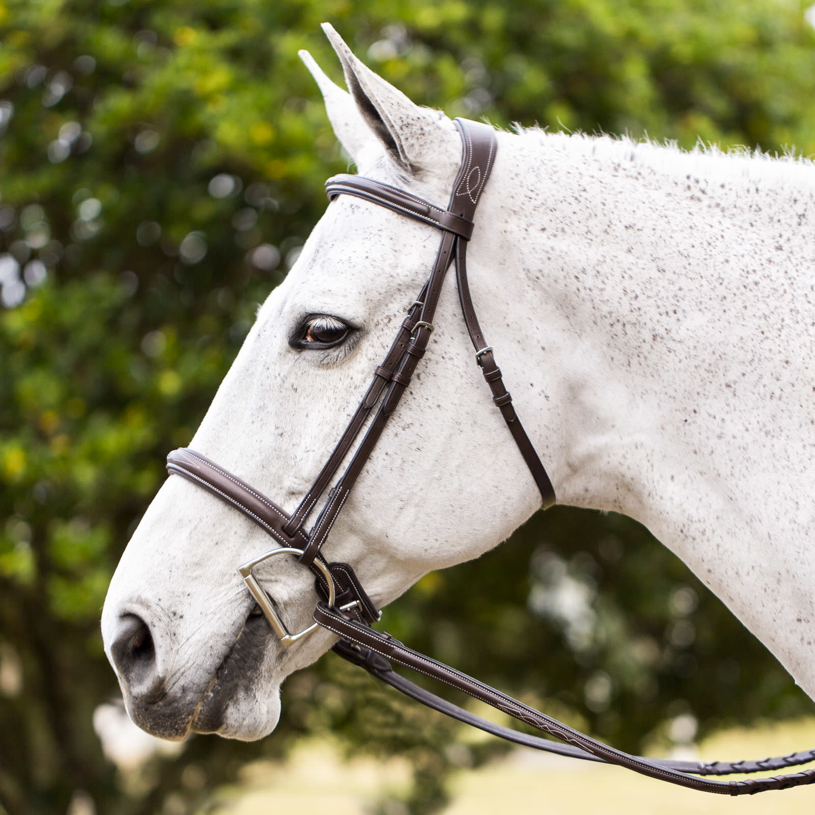 Valkyrie Fancy Stitched Hunter Bridle & Reins - Equine Essentials Tack ...