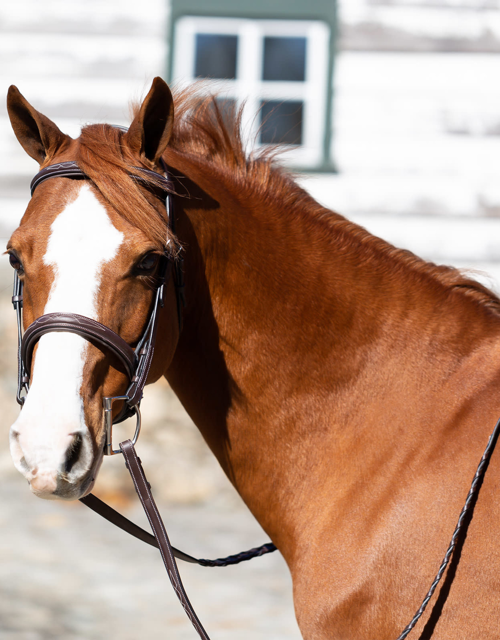Equinavia Valkyrie Pony Fancy Stitched Bridle - Chocolate Brown ...