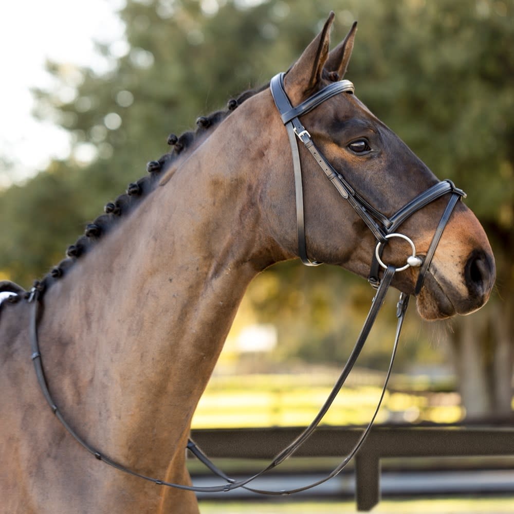 Saga Padded Dressage Bridle & Reins - Equine Essentials Tack & Laundry ...