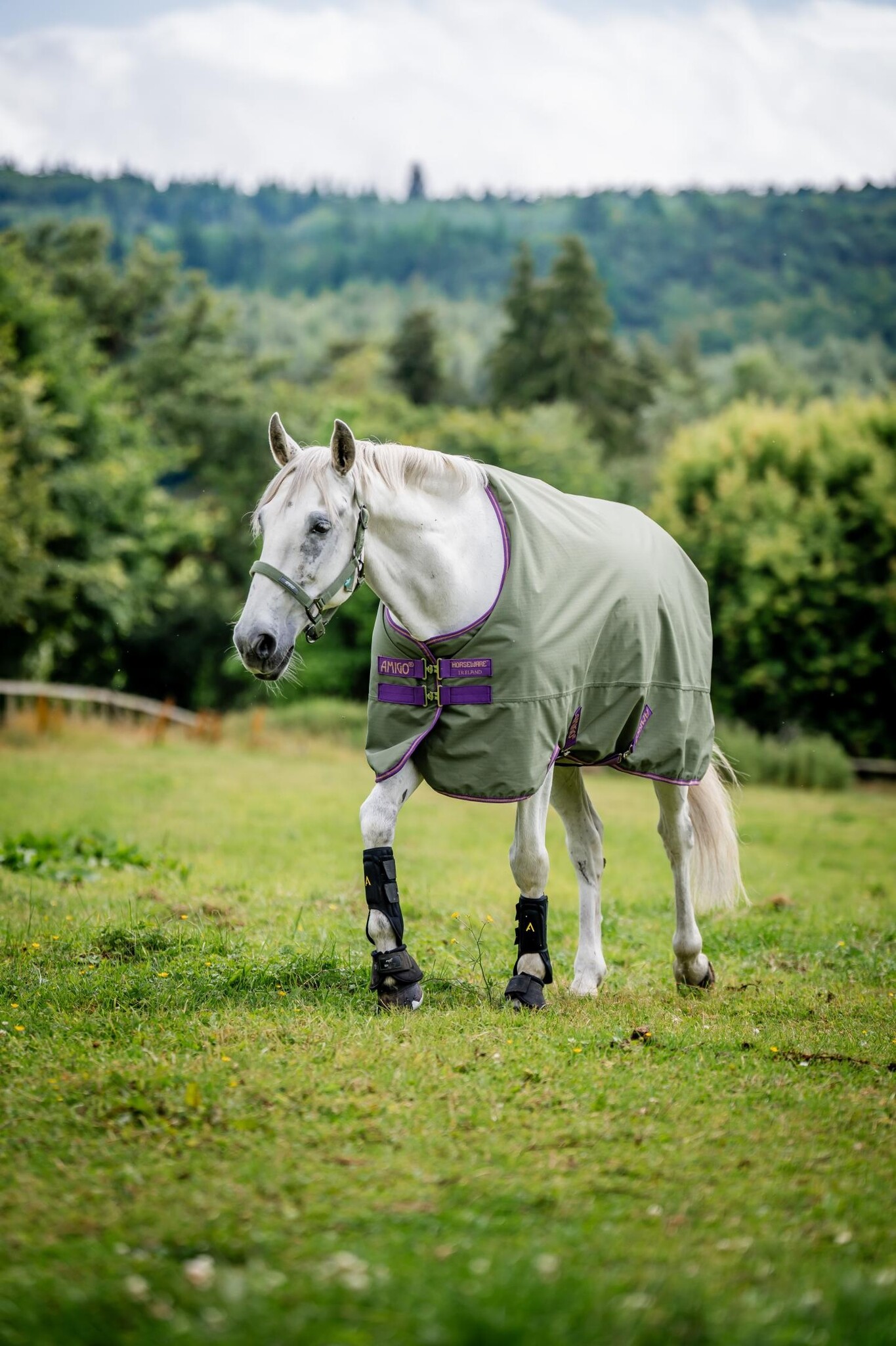 AMIGO HERO RIPSTOP PLUS LITE 0G - Equine Essentials Tack & Laundry Services