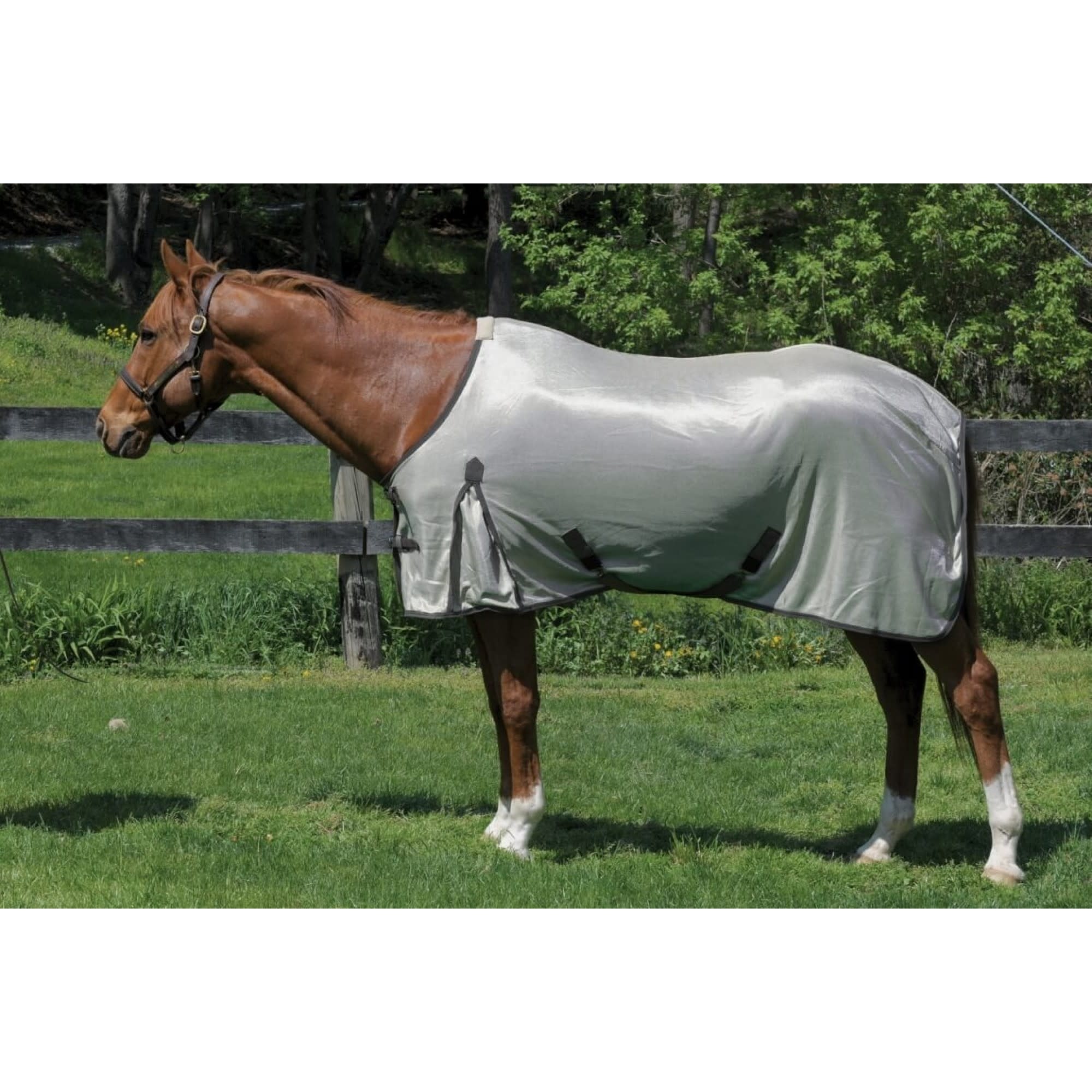 CENTURY SOFT TOUCH II FLY SHEET - Equine Essentials Tack & Laundry Services