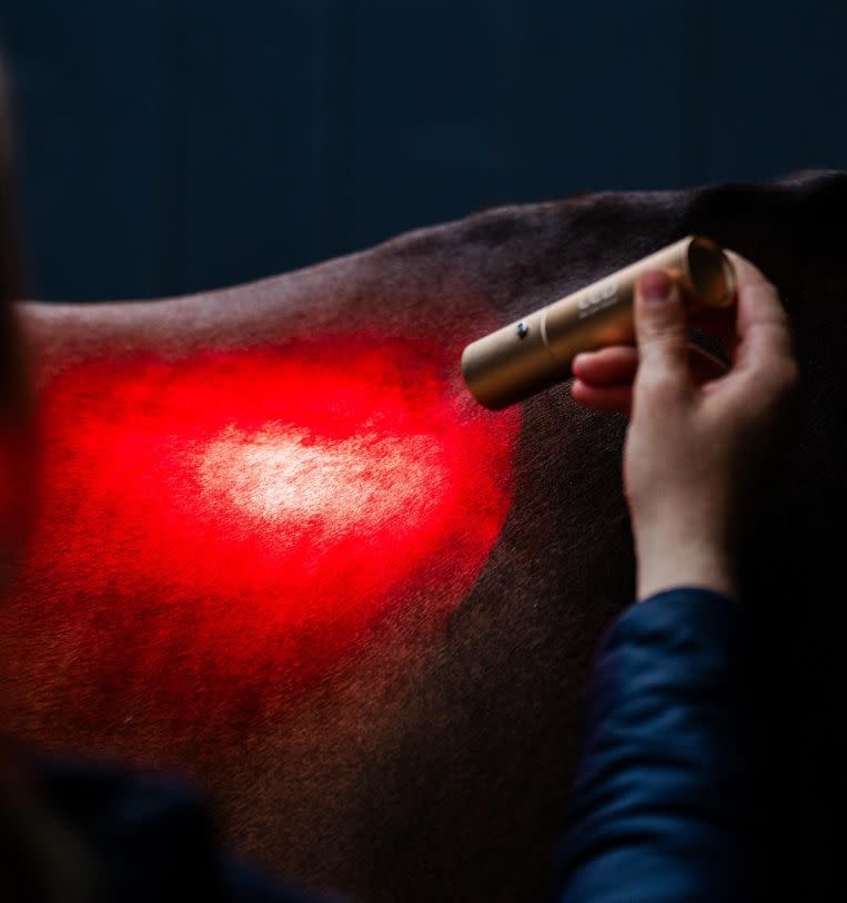 Horseware LED Red Light Therapy Wand - Equine Essentials Tack & Laundry ...