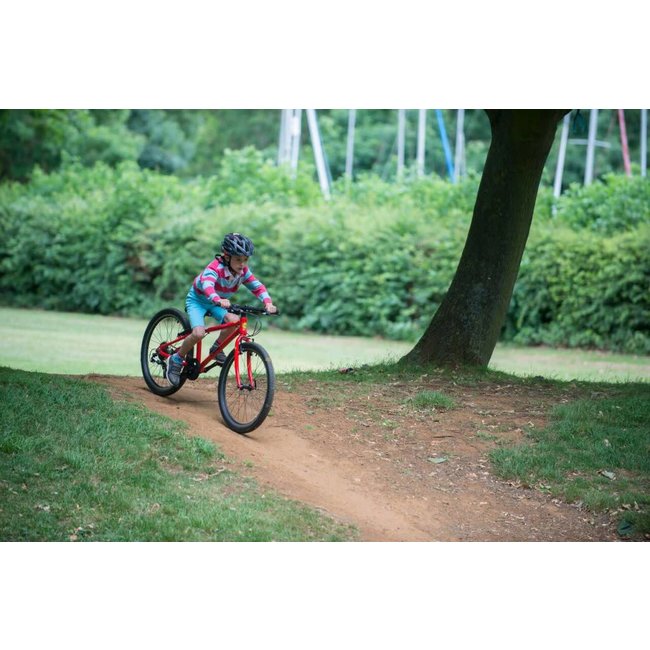 Frog 55 Multi-Speed 20-Inch Kids' Bike - Clever Cycles Ebike & Bicycle ...