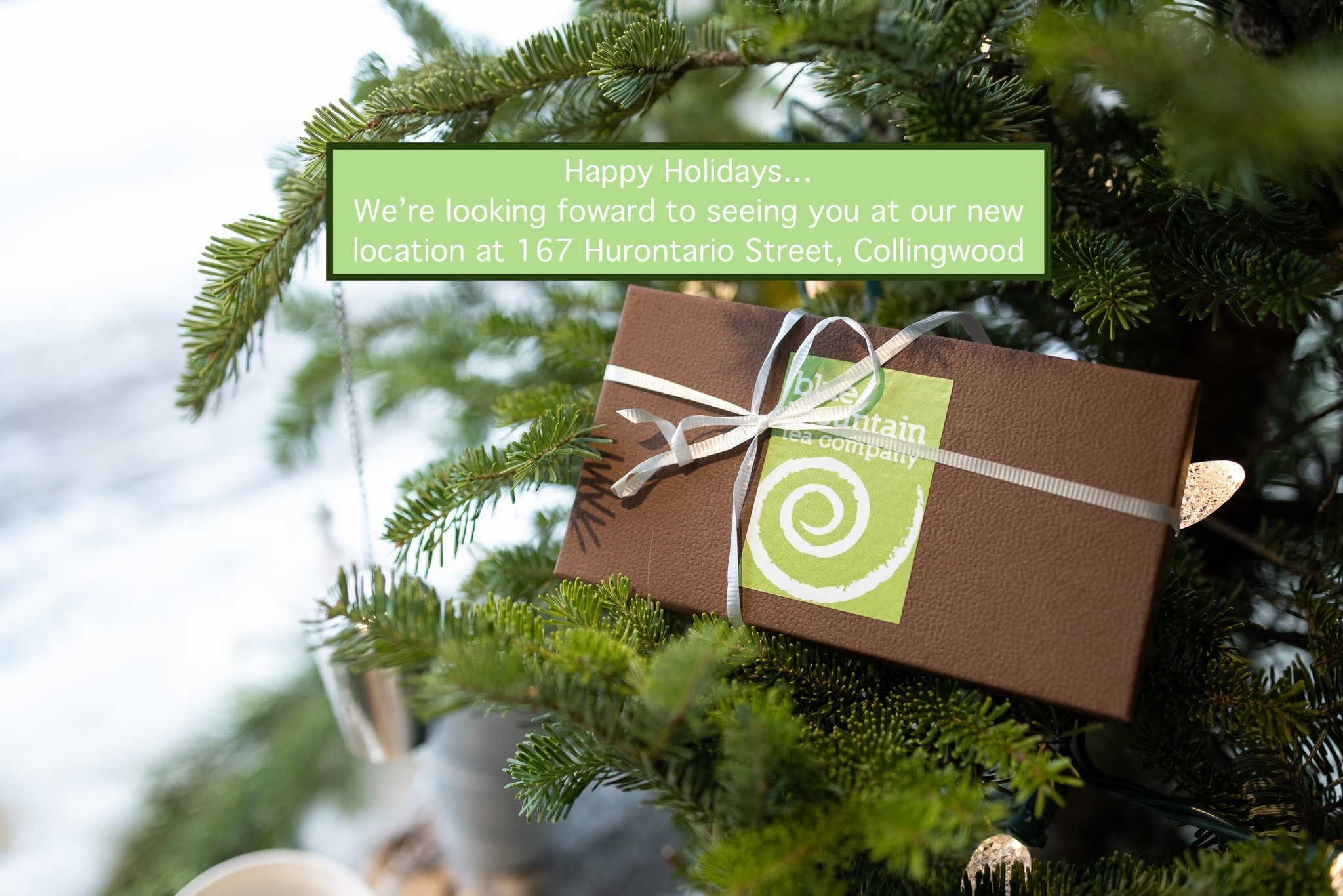 Blue Mountain Tea Company - Blue Mountain Tea Company