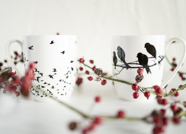 Blue Mountain Tea Company - Blue Mountain Tea Company