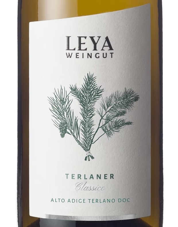 Weingut Leya, 'Terlaner Classico' (2024) - DANDY WINE & SPIRITS