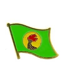 Pin - Zaire Flag - Military Outlet