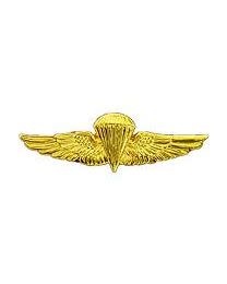 Pin - Wing USN/USMC Para Basic Mini - Military Outlet