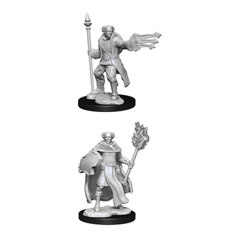 Nolzur's Marvelous Miniatures: Half-Orc Paladin Male - Boardgames.ca