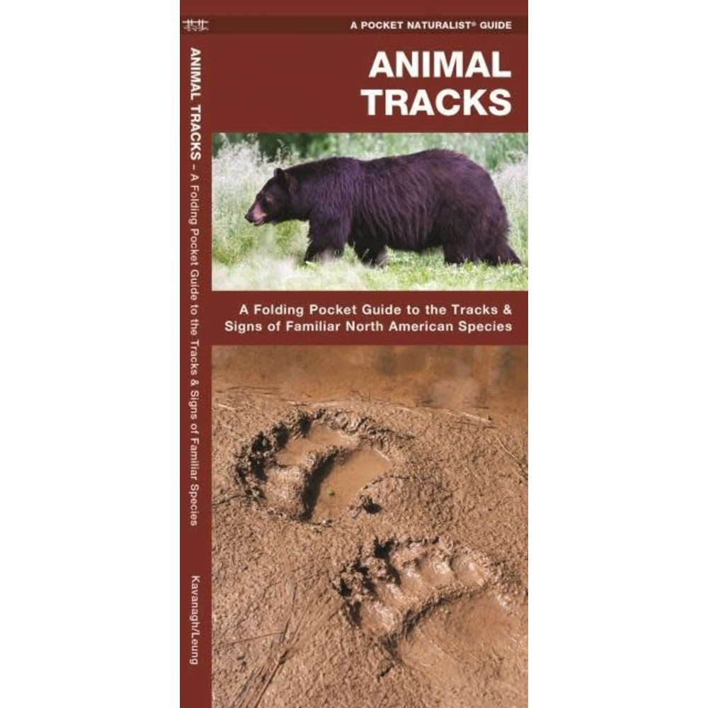 Animal Tracks: A Folding Pocket Guide to the Tracks & Signs of Familiar ...