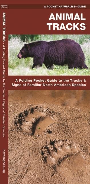 Animal Tracks: A Folding Pocket Guide to the Tracks & Signs of Familiar ...