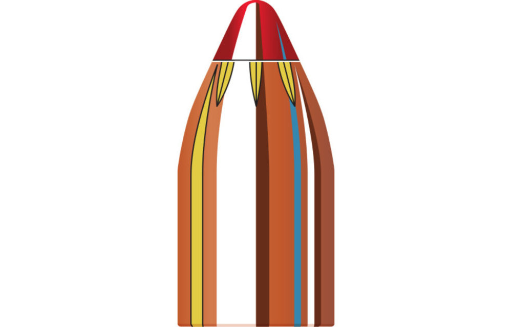 Hornady 45 CAL .452 250 GR FTX® (450 BUSHMASTER) - Black Sheep Sporting ...