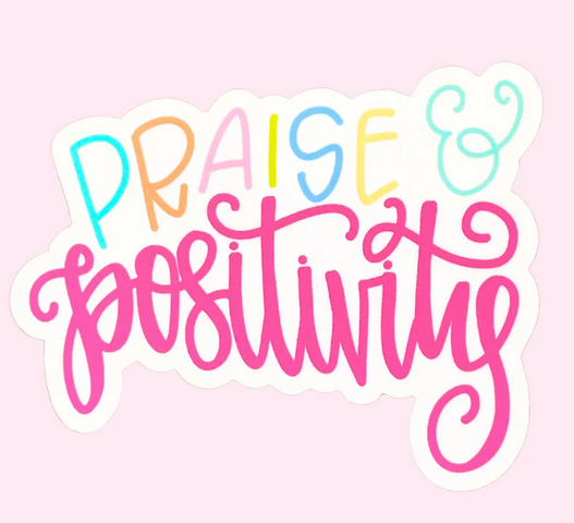 Single Sticker - Praise and Positivity - Bibs and Kids Boutique