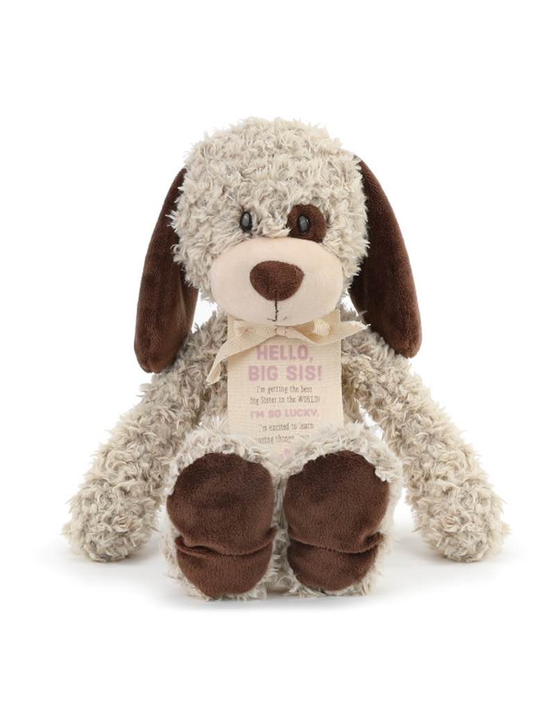 Demdaco Gift from the New Kid - Big Sister - Spoiled Sweet Boutique ...