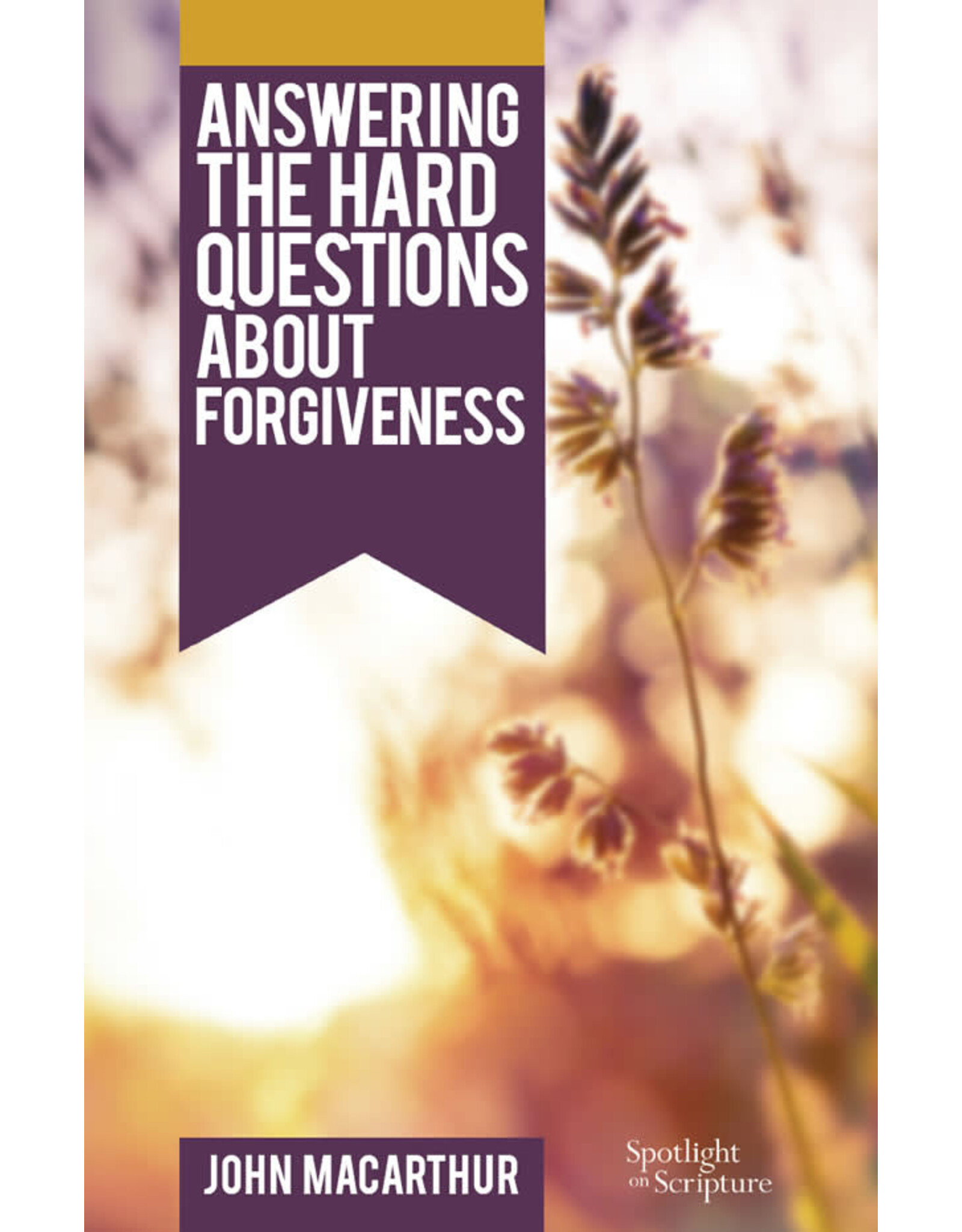 Forgiveness Questions Forgiveness | Sunday School Bible Lessons And