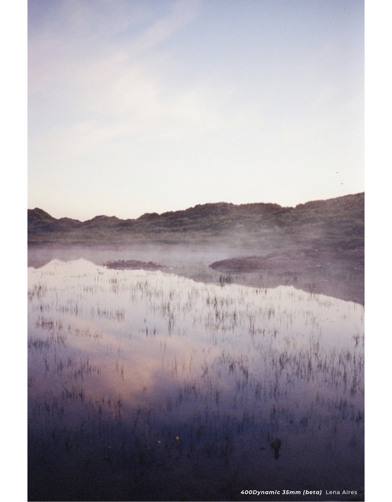 CineStill Film 400D C-41 Color Negative Film 120 Boxed - Tuttle Cameras