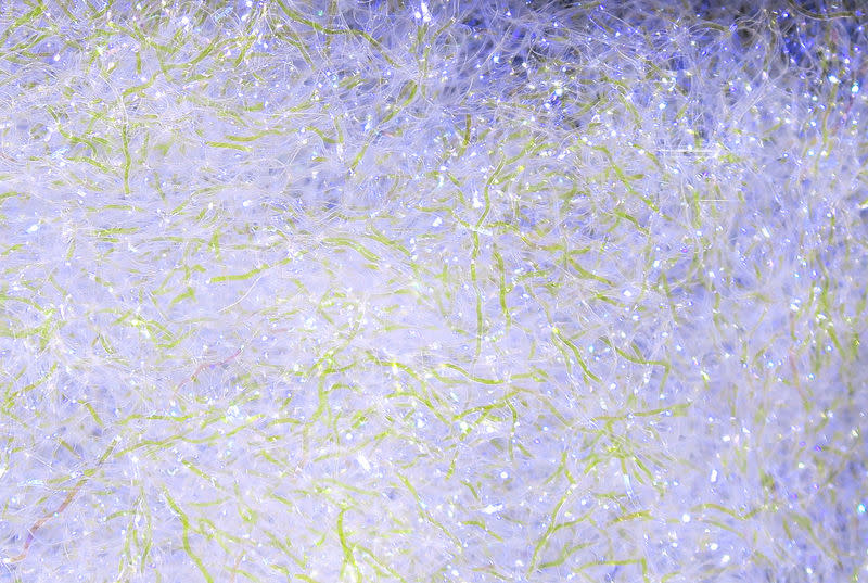 Ice Dub - Unicoi Outfitters