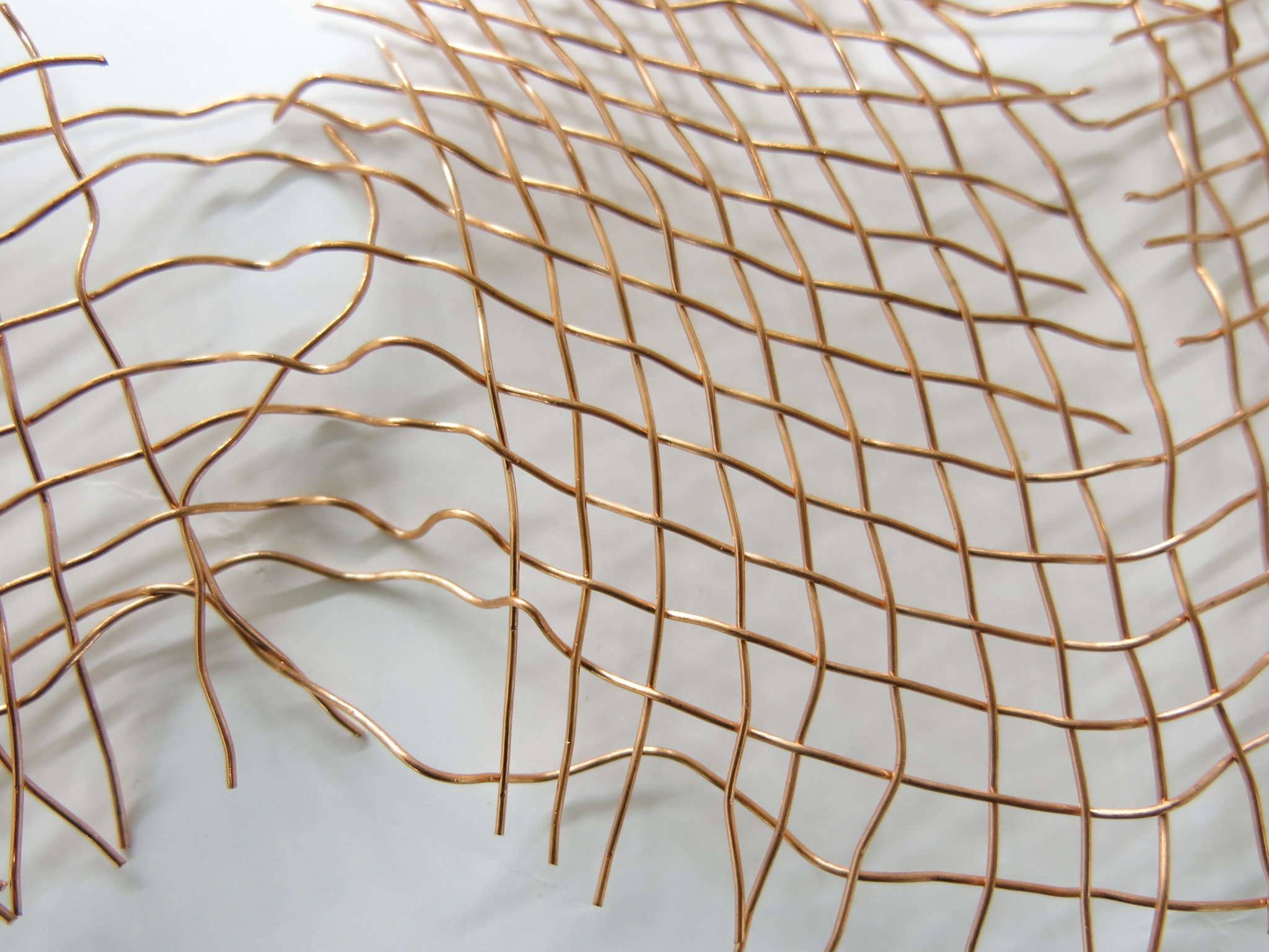 Extract, Form, and Print - Malaspina Printmakers