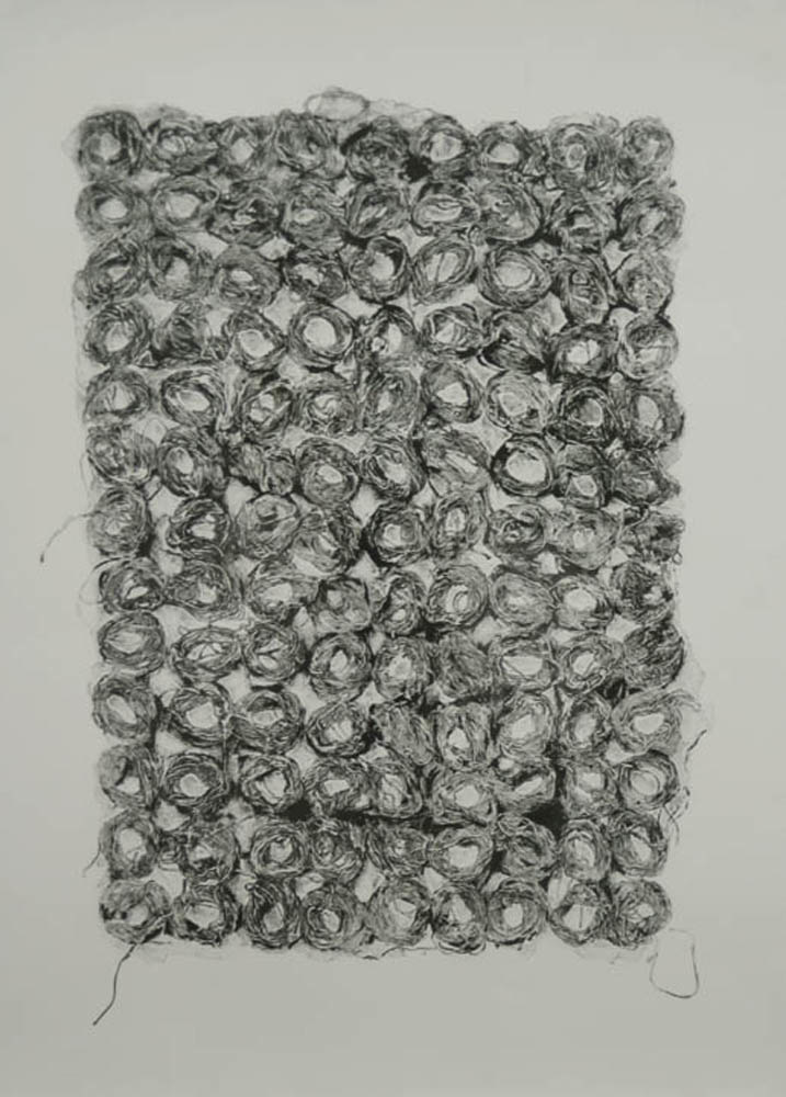 Surface Tension - Malaspina Printmakers