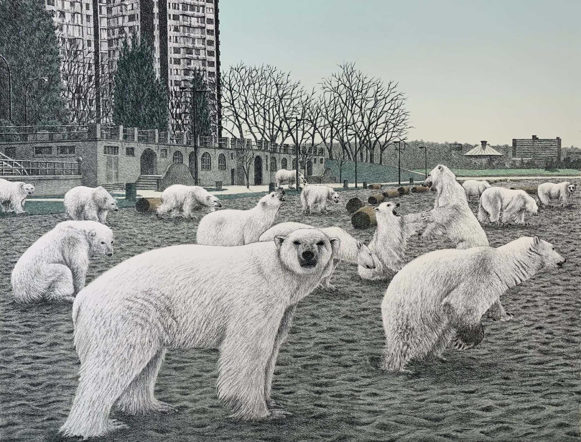 Buy Original Fine Art Prints | Ken Pattern - Malaspina Printmakers