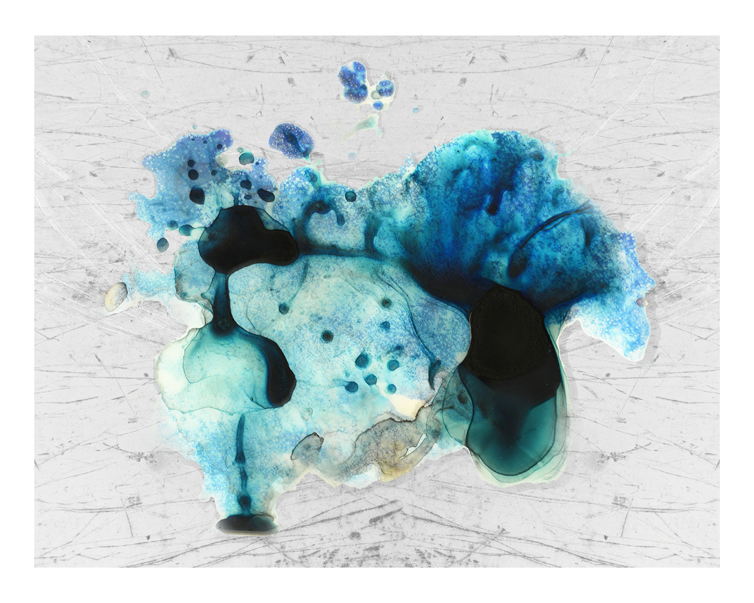 Buy Original Fine Art Prints | Gerri York - Malaspina Printmakers