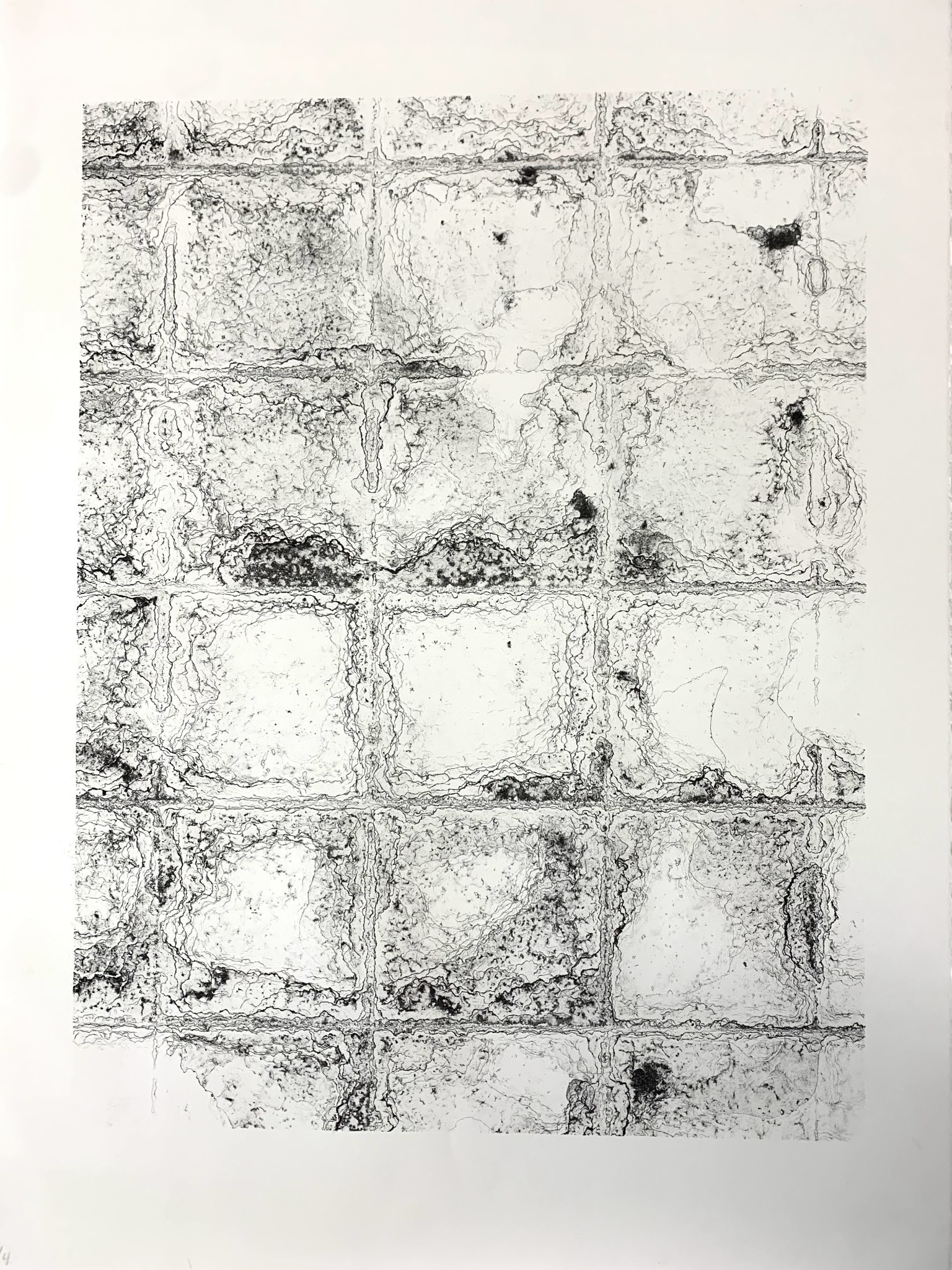 Buy Original Fine Art Prints | Ann Richards - Malaspina Printmakers