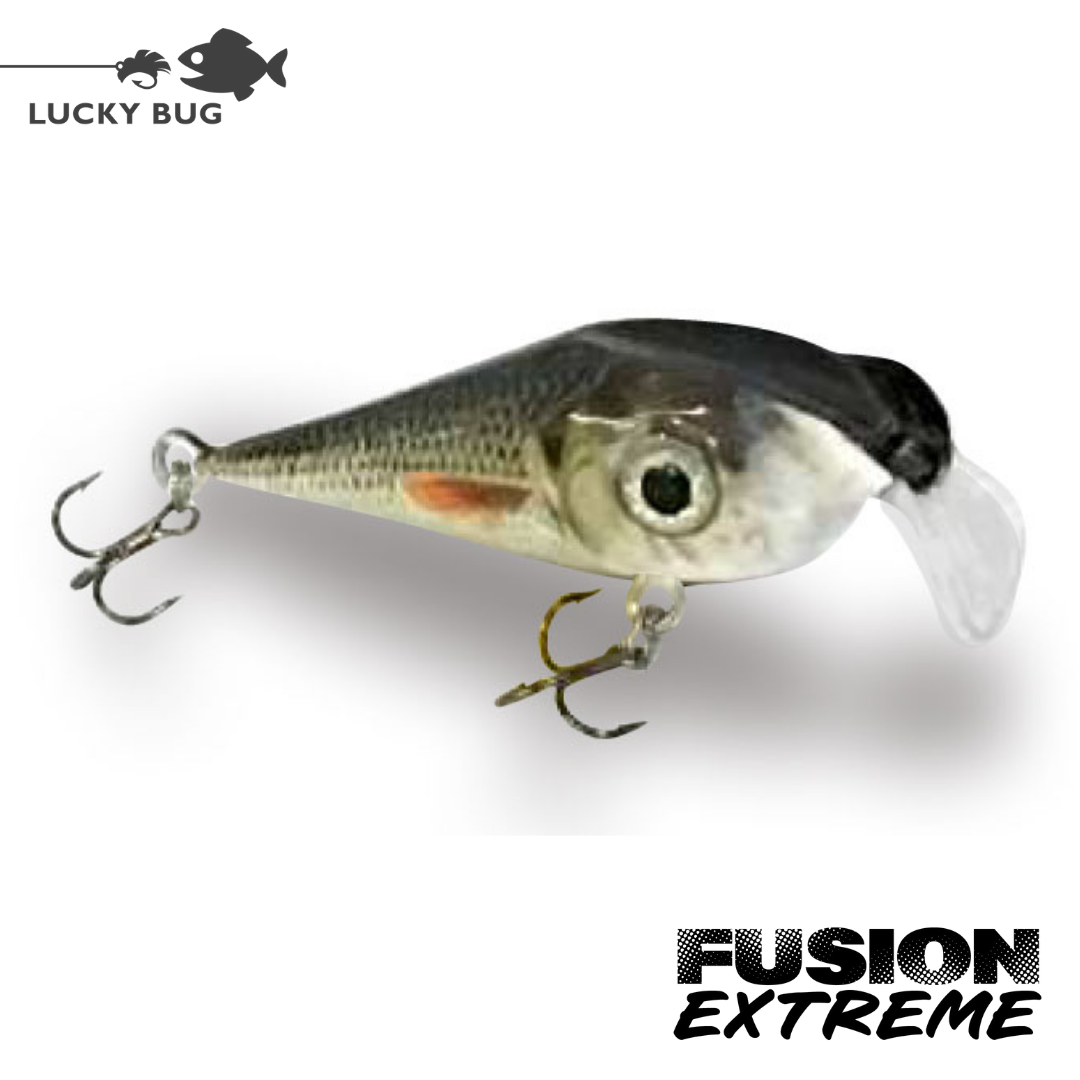 LUCKY BUG 2" FUSION GHOST BASS | Corlane Sporting Goods - Corlane ...