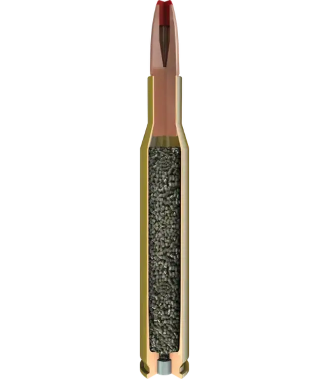 Hornady International Ammo 30-06 Sprg 165gr ECX 20rd | Corlane Sporting ...