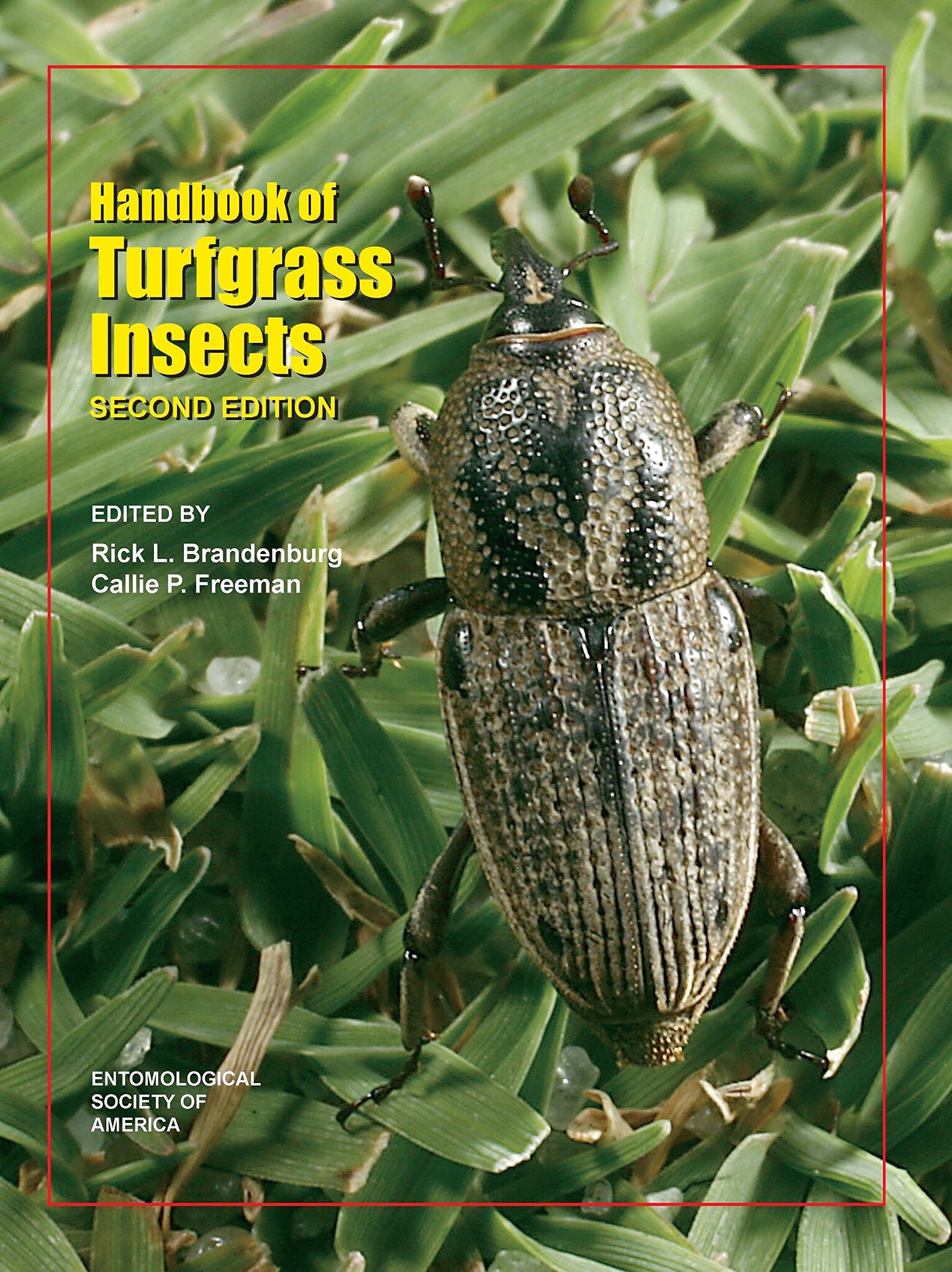 Handbook of Turfgrass Insects, 2nd Ed. - Golf Course Superintendents ...