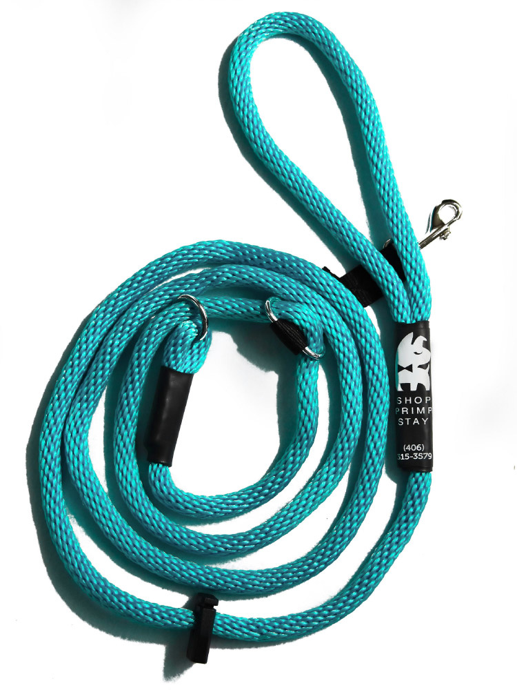 Heather's Hero's Sidekick Turquoise Regular 3/8" Leash - Fetch Pet Boutique