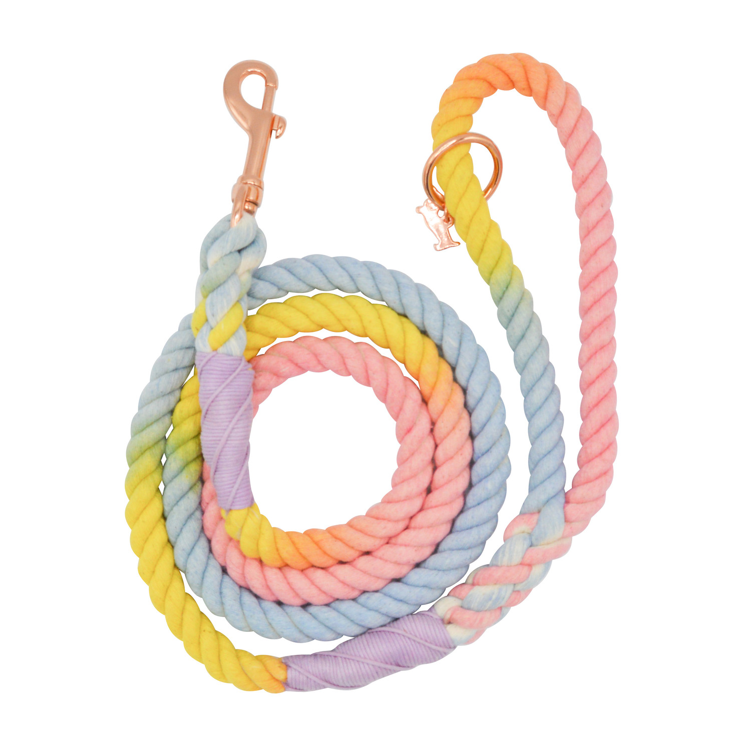 Sassy Woof Ombre Rope Leash Fiesta - Fetch Pet Boutique
