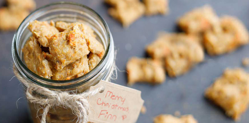 For the Love of Leftovers - Fetch Pet Boutique