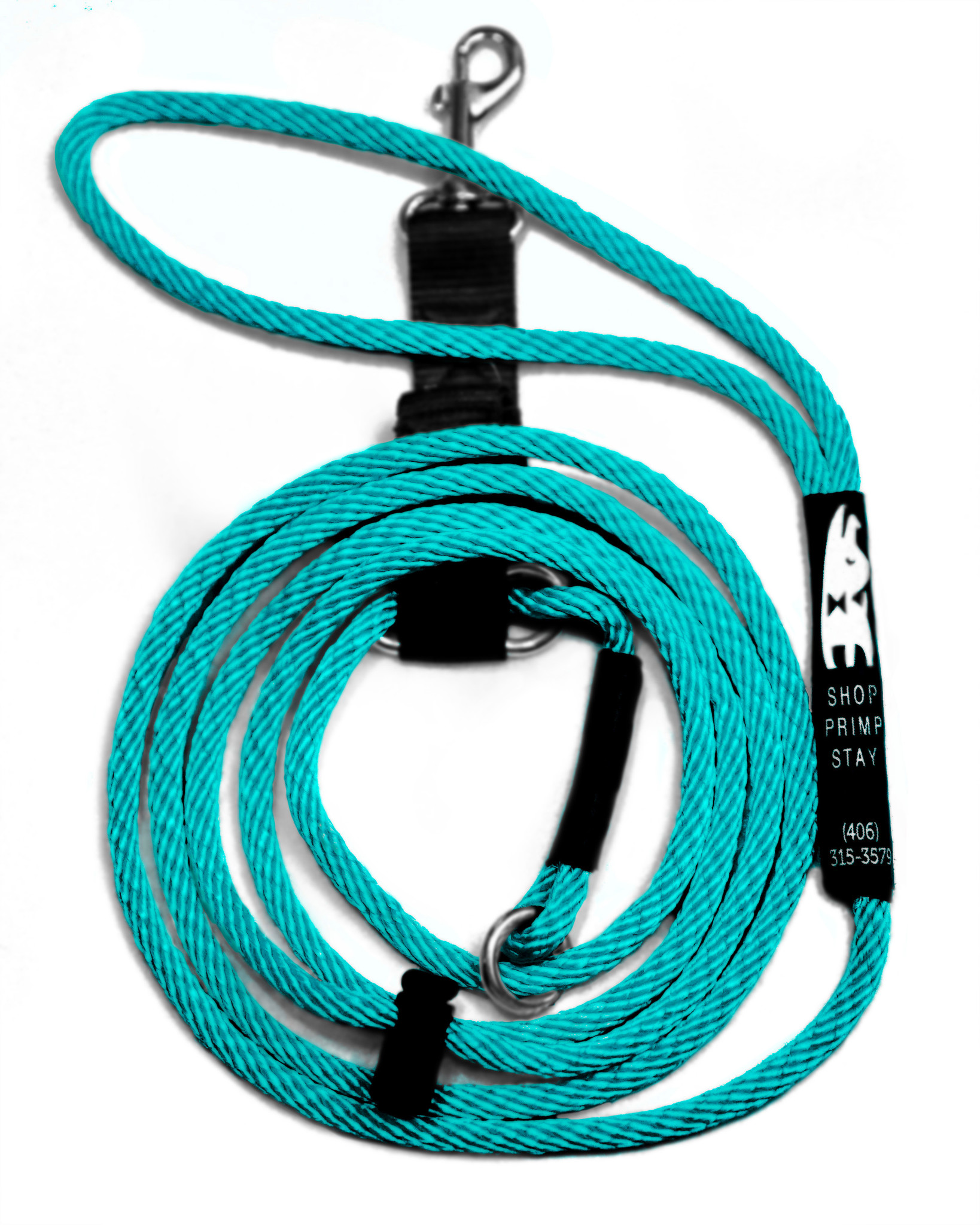 Sidekick Turquoise Mini 1/4" Leash - Fetch Pet Boutique