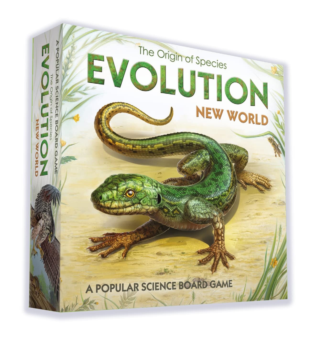 Evolution: New World - Board Game - Rain City Games