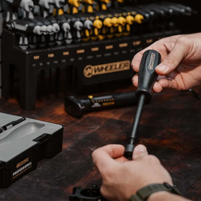 Wheeler 100 Piece Professional Screwdriver Set - Ramakko's Source For ...