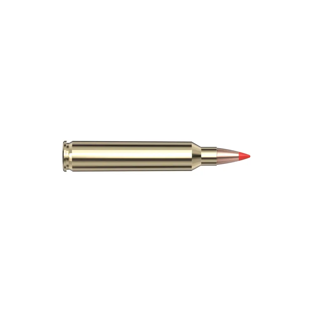 Hornady 204 Ruger 32 gr V‑MAX Superformance Rifle Ammunition - Ramakko ...