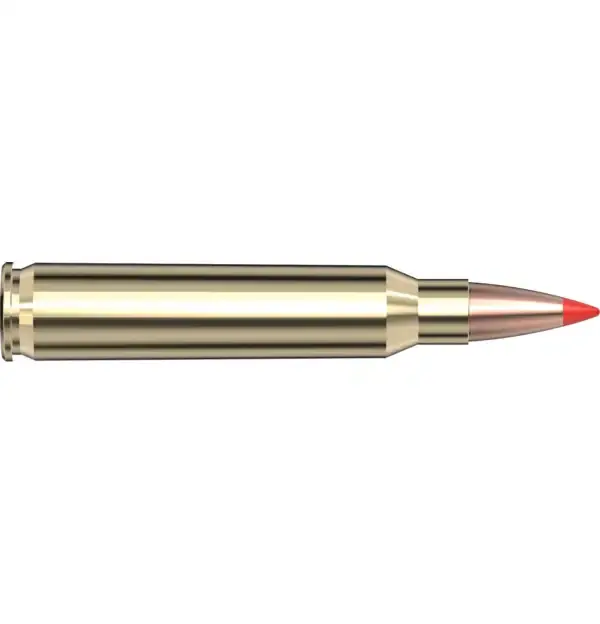 Hornady Superformance 223 Rem 53 gr V‑MAX Ammunition - Ramakko's Source ...
