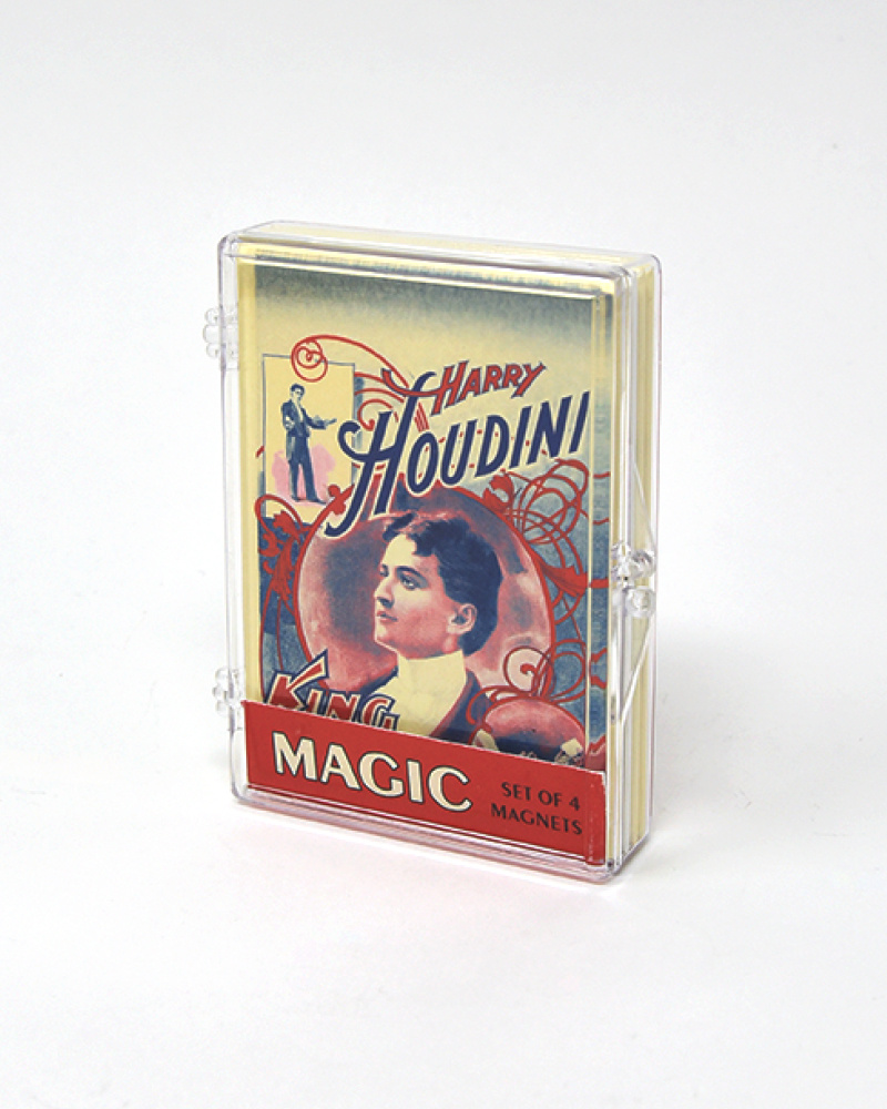 Magic Magnet Set of 4 - Poster House Shop